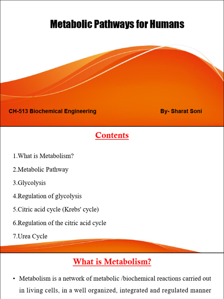 Metabolic Pathways for Humans final | PDF | Glycolysis | Metabolism