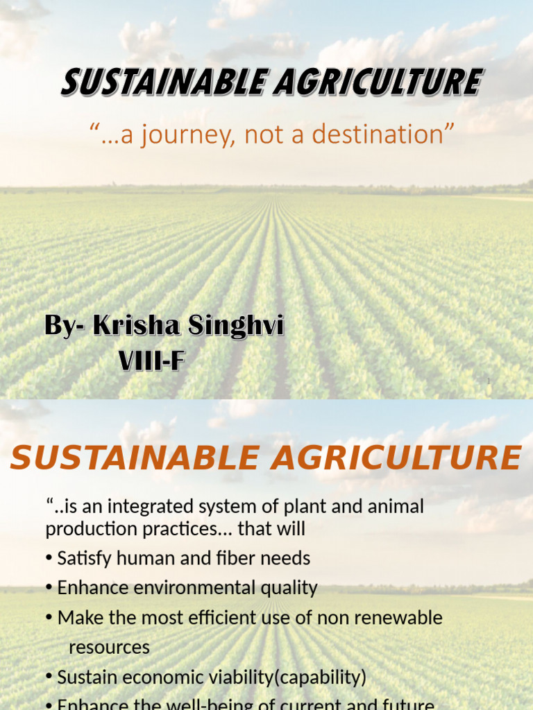 SSC_PROJECT_FINAL | PDF