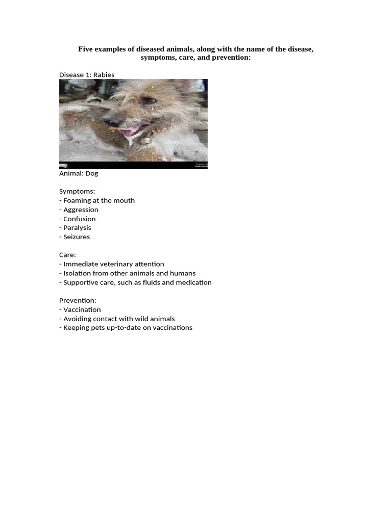 Animal Disease Guide for Pet Owners | PDF