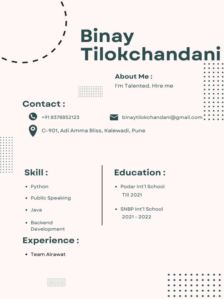Simple Professional CV Resume | PDF