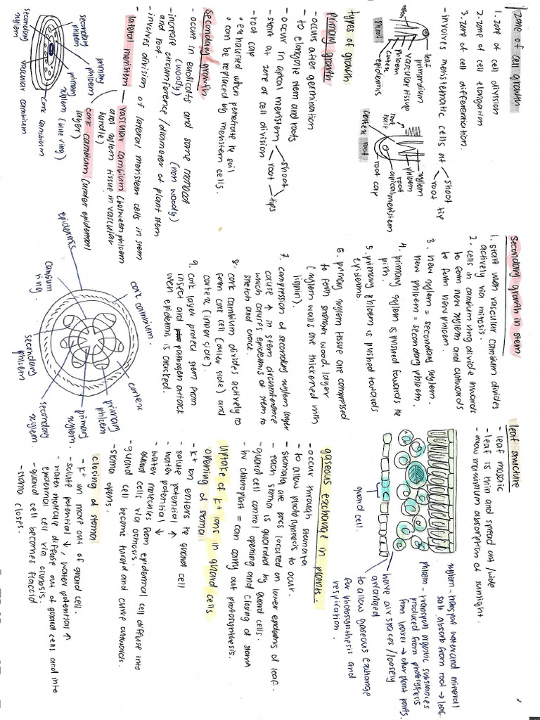 form 5 bio | PDF