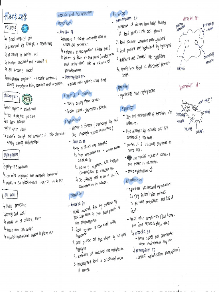 Part 1 Form 4 | PDF