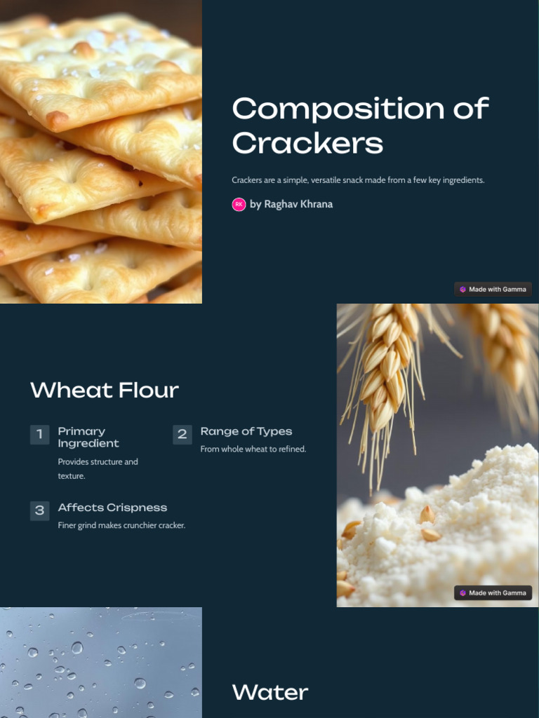 Ingredients & Process of Crackers | PDF