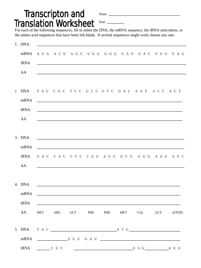 Transcription and Translation Practice | PDF | Nucleic Acid Sequence | Messenger Rna