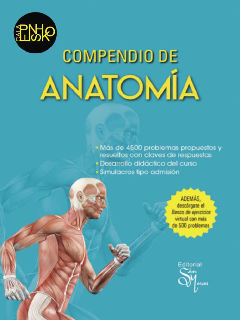 Anatomía - Esm | PDF