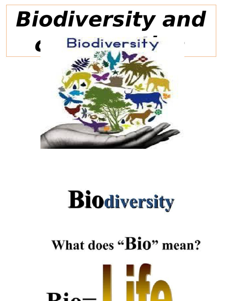 Unit 2 Biodiversity | PDF