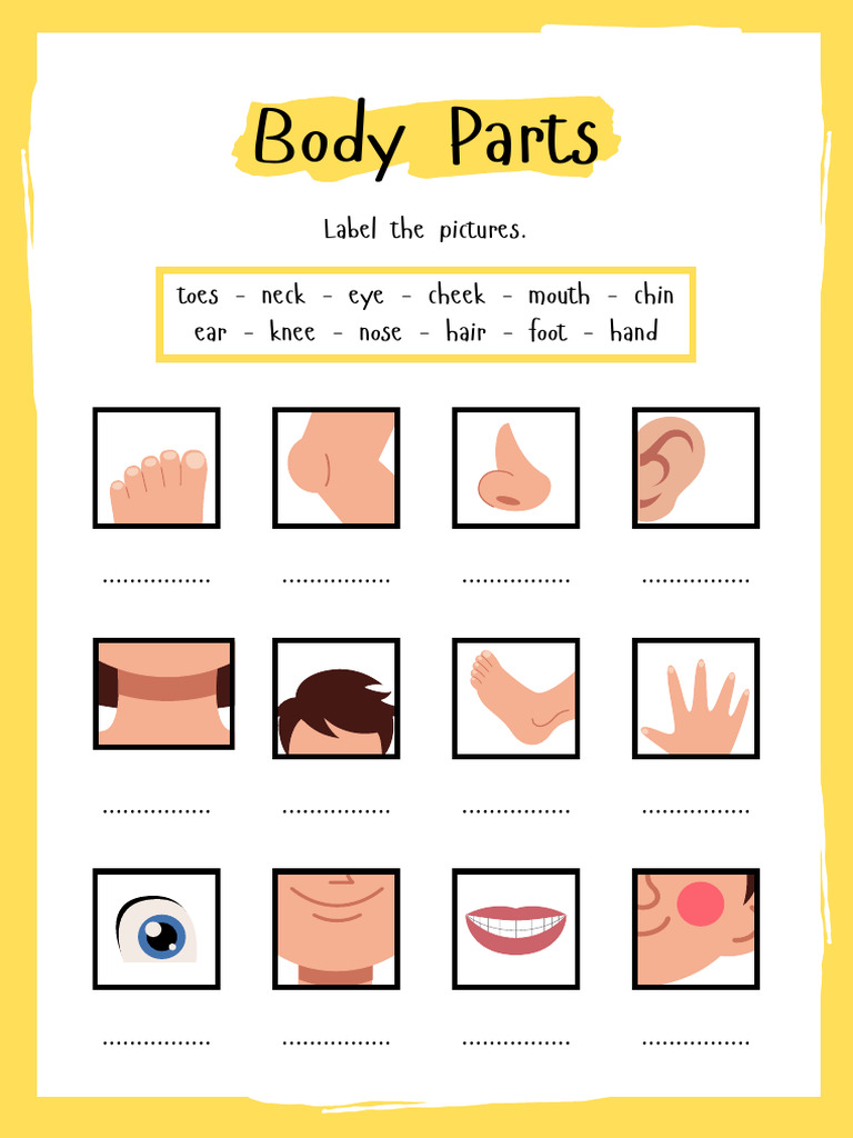 Labeling Common Body Parts | PDF