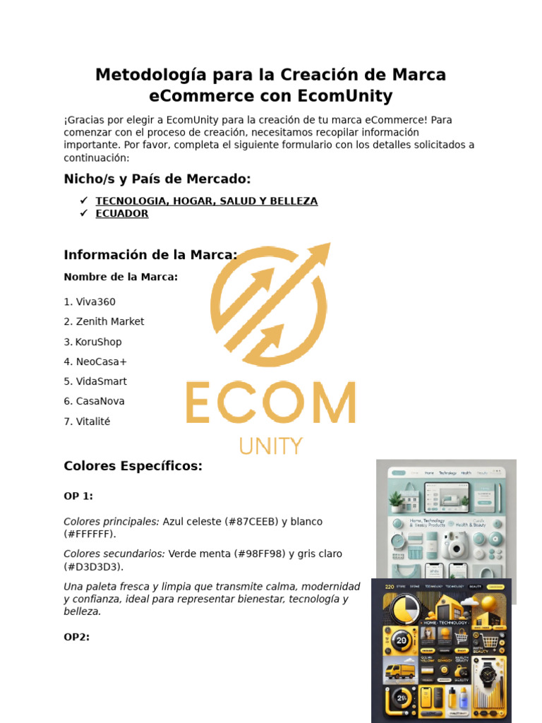 Creación de Marca eCommerce en Ecuador | PDF