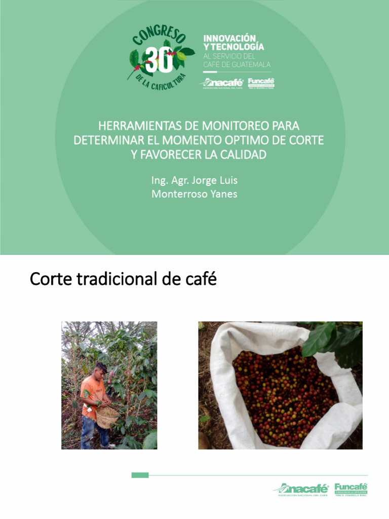 Grados Brix y Calidad del Café | PDF | café