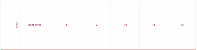 Wizbit Cassette Tape J-Card Insert5panels Front | PDF