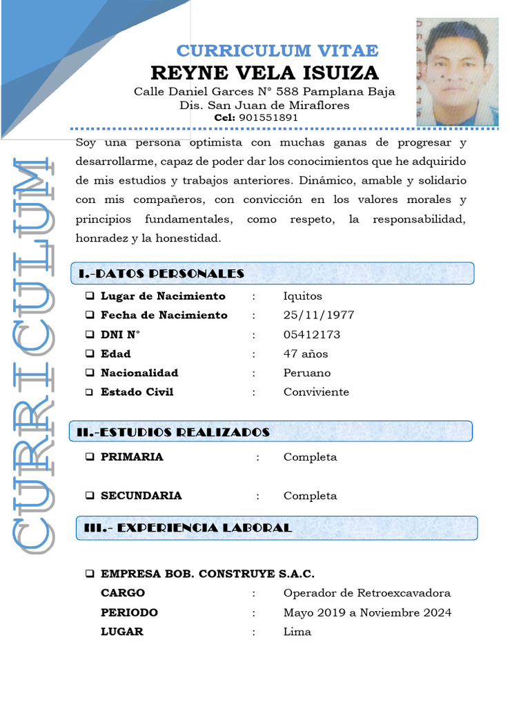 Curriculum Vitae Reyne Vela Isuiza | PDF