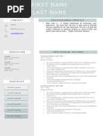 Big 4 CV Template Guide | PDF