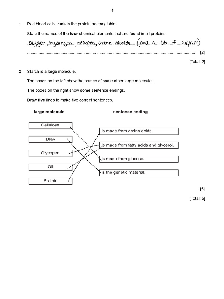 Bio CH 4 Revision Worksheet | PDF | Cell (Biology) | Dna