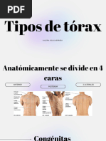 Tipos de tórax y sus características | PDF | Salud y bienestar | Historia