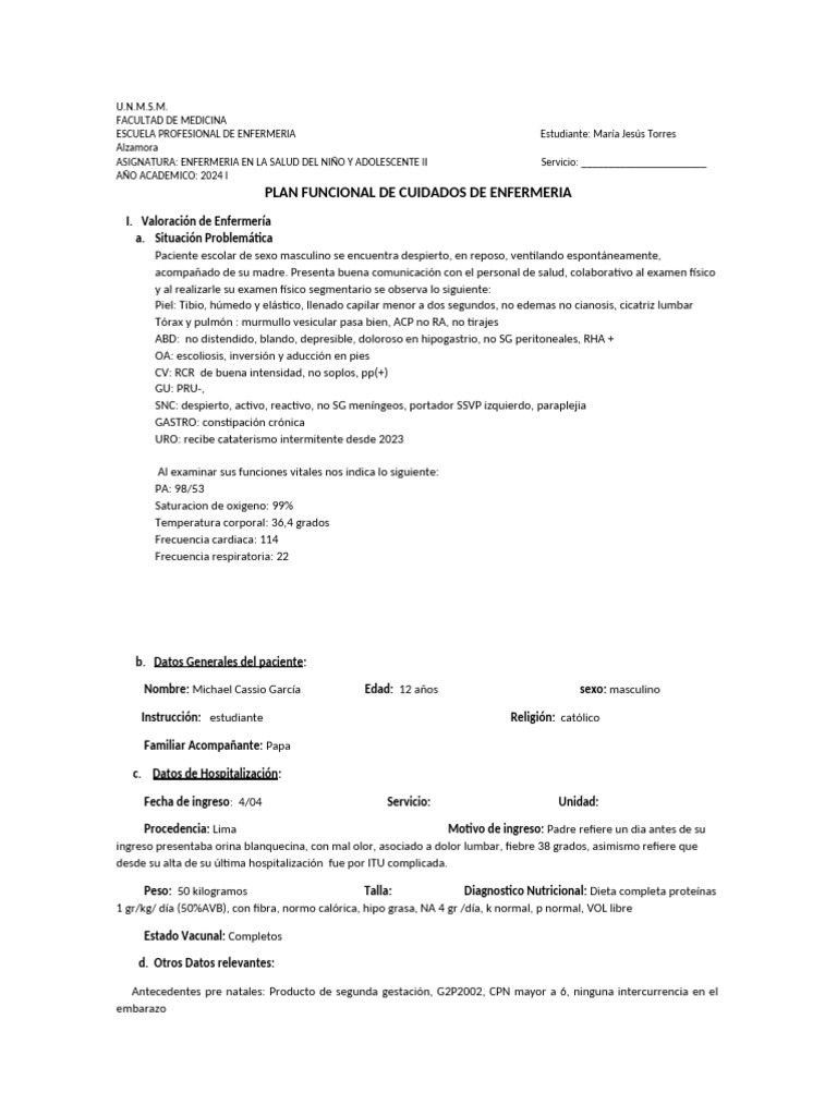 PLAN FUNCIONAL CASo ITu Final | PDF | Medicamentos con receta | Medicina CLINICA