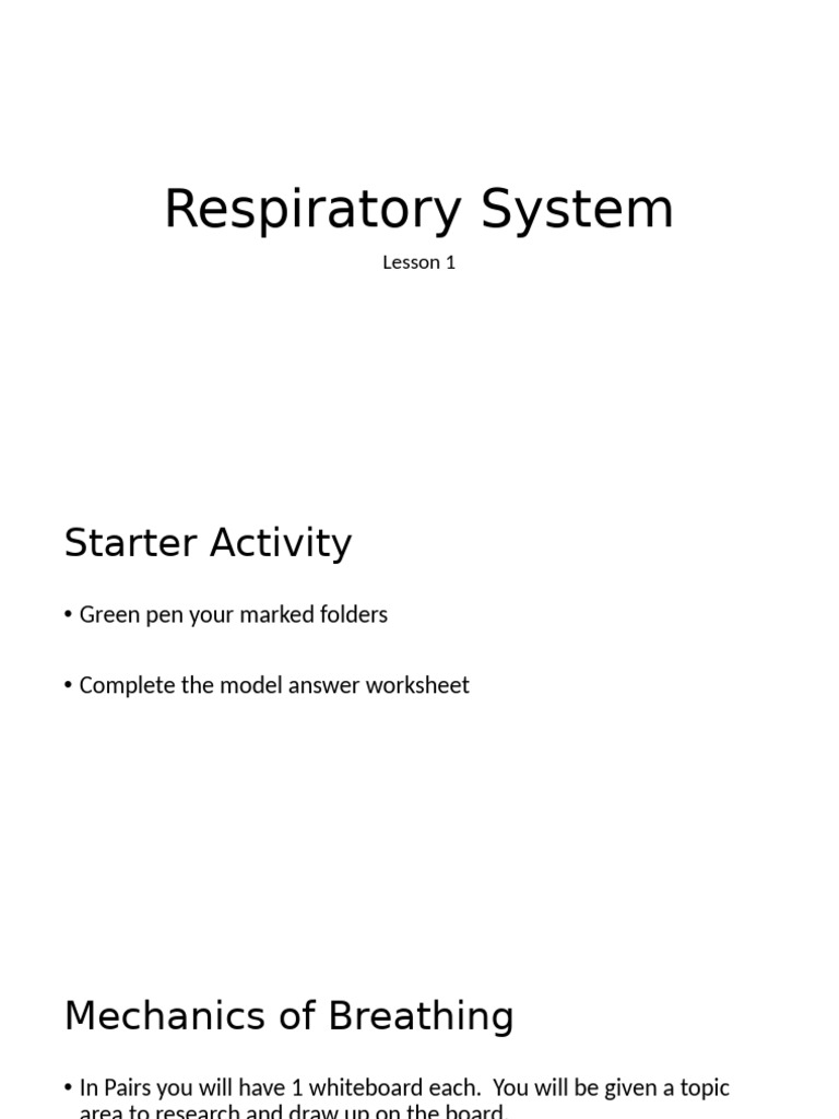 Understanding the Respiratory System | PDF | Breathing | Lung