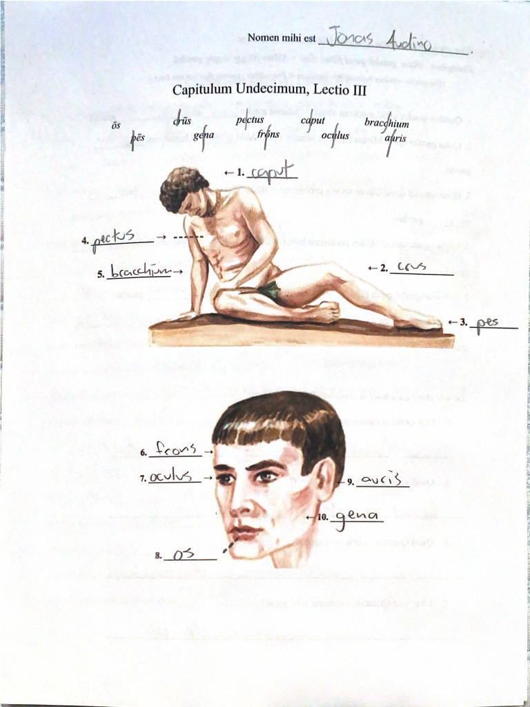 Capitulum Undecimum, Lectio III | PDF