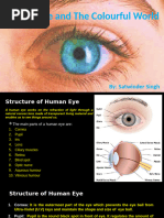 Class10 Human Eye Notes | PDF | Eye | Human Eye