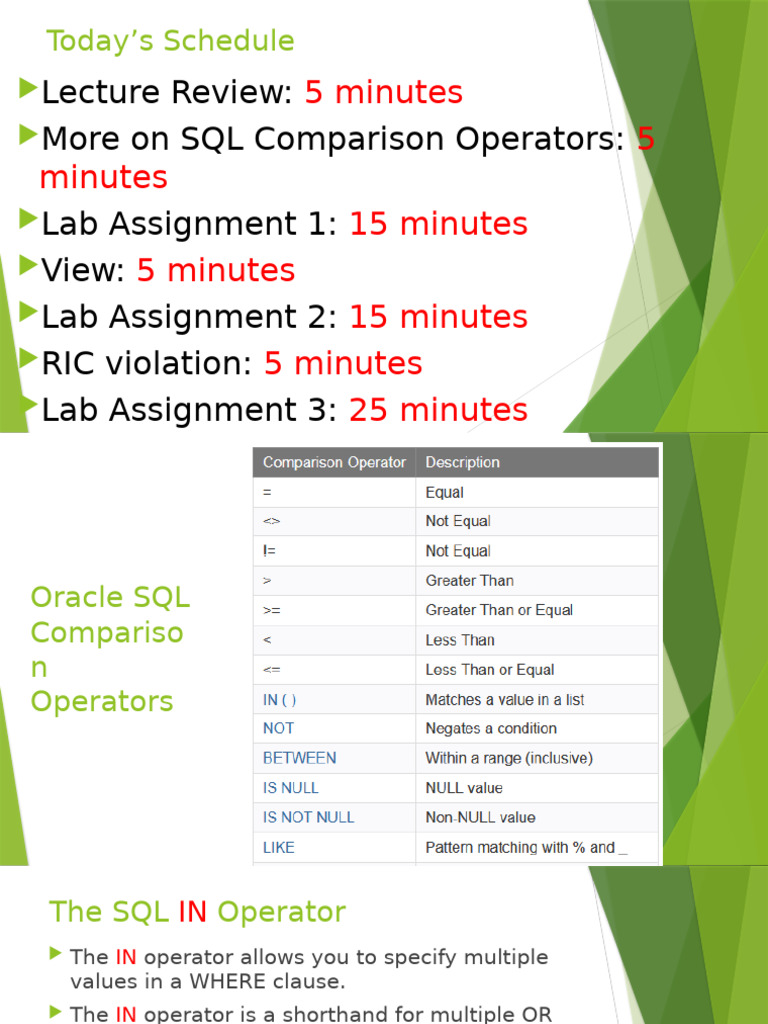 SQL Operators and Lab Assignments Guide | PDF | Relational Database | Sql