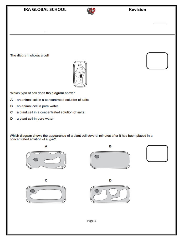 8th Grade Biology Revision Paper | PDF