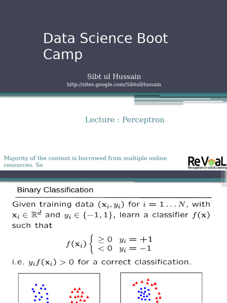 Lecture8 Perceptron | PDF