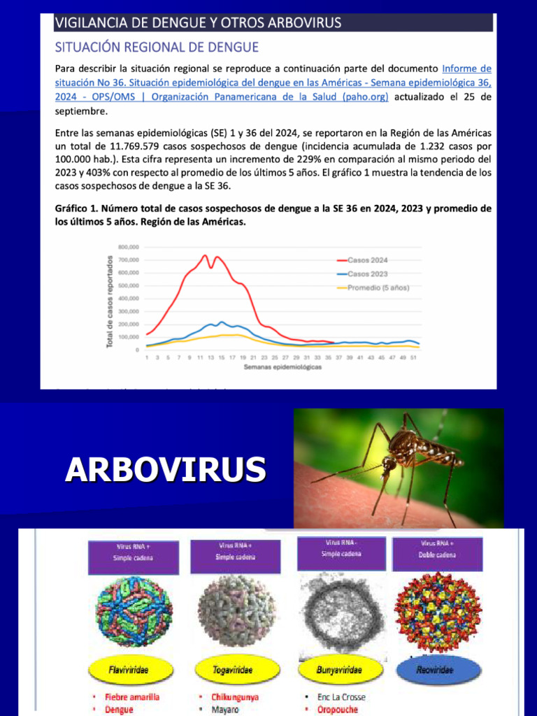Arbovirus | PDF | Virus | Microorganismo