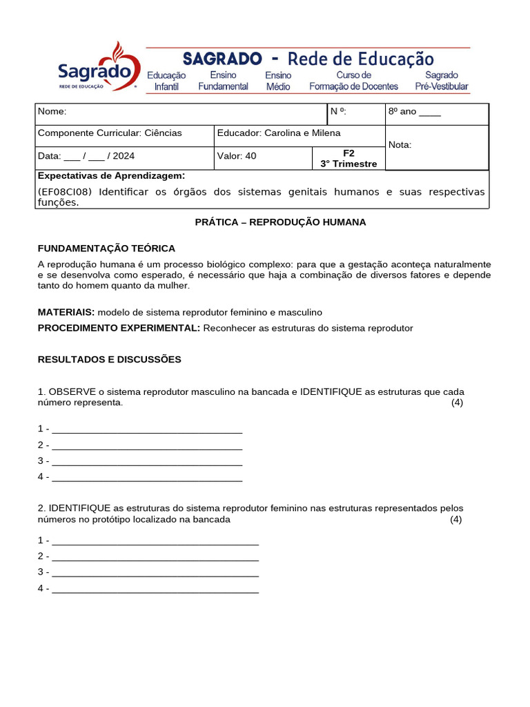 Prática de Reprodução Humana no 8º Ano | PDF | Testosterona | Puberdade