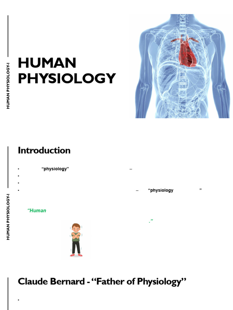1, 2, 3 - Human Physiology, Homesostasis, Mechanism of Homeostasis ...
