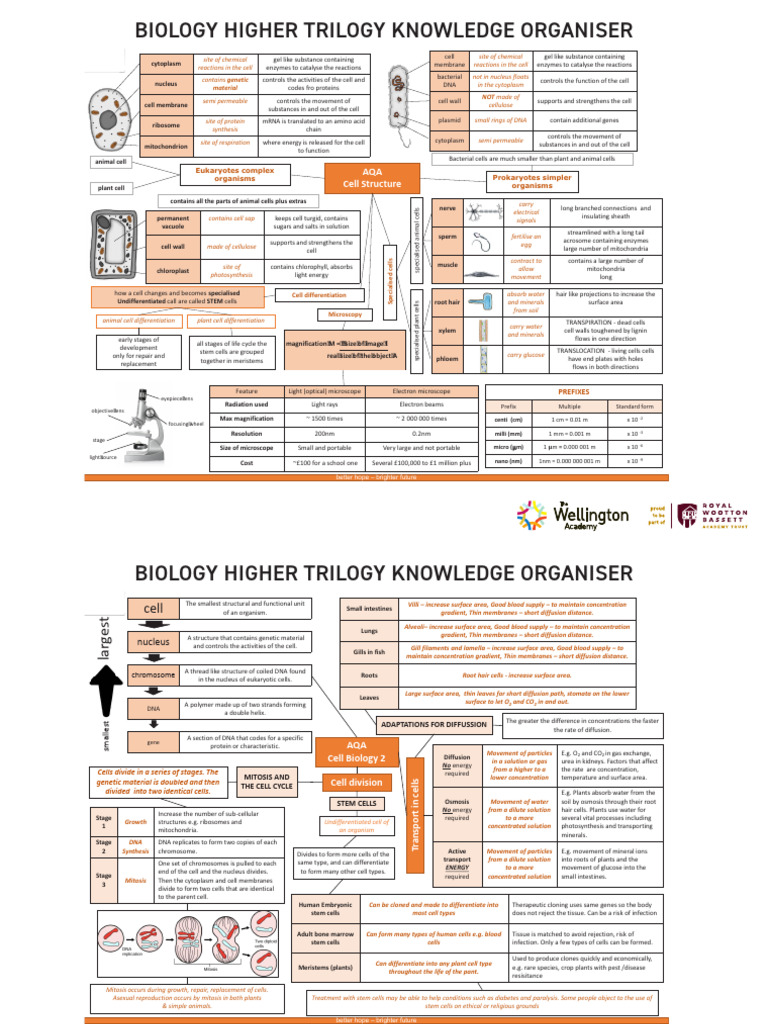 BIOLOGY_HIGHER_TRILOGY_Knowledge_Organiser | PDF | Cell (Biology) | Heart