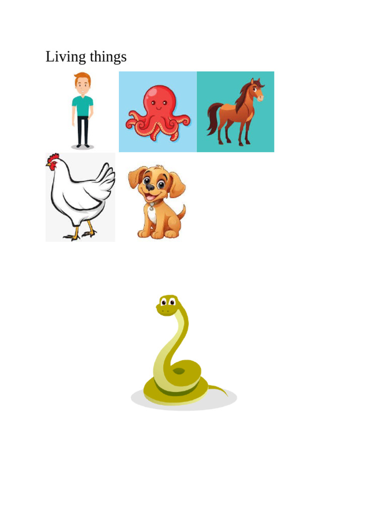 Project Mandida | PDF