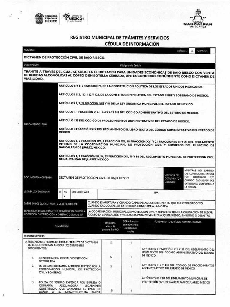 Dictamen de Proteccion Civil de Bajo Riesgo | PDF