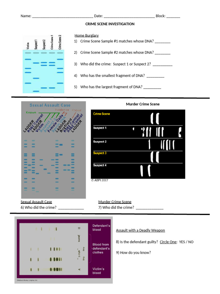 DNA Fingerprinting Worksheet | PDF