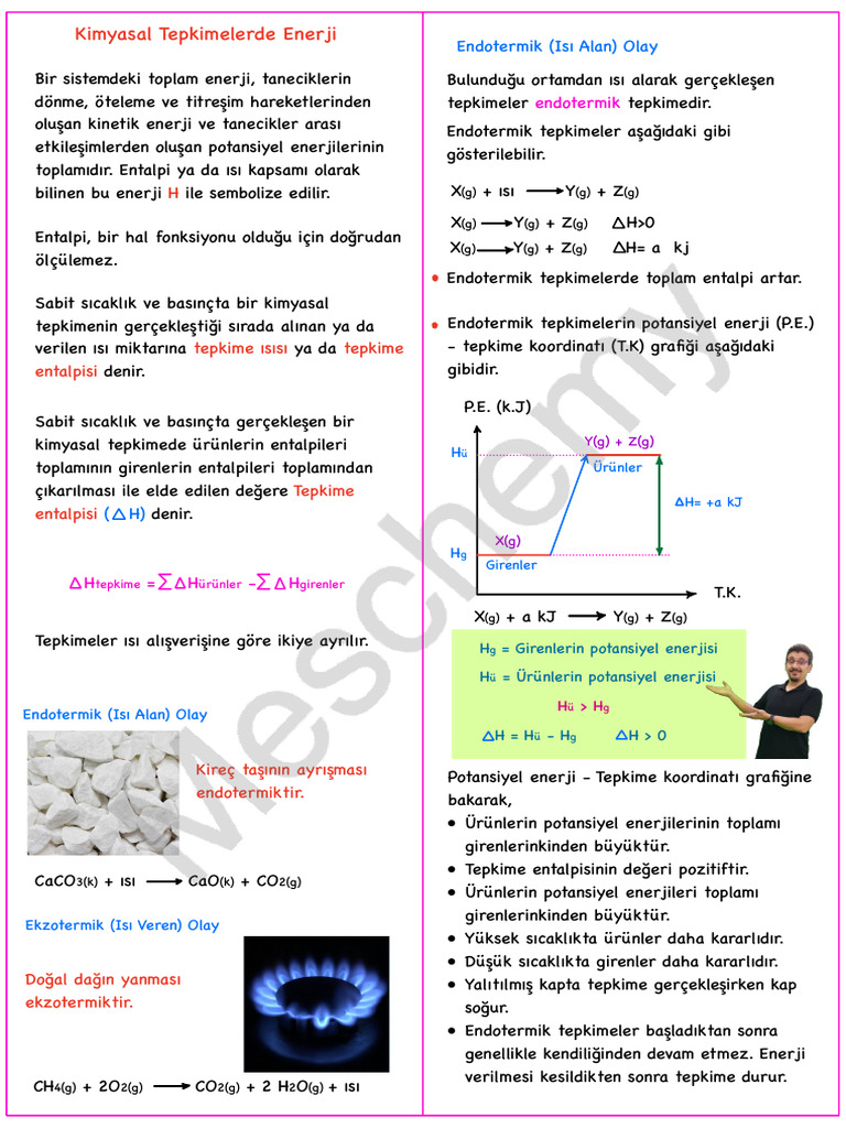 Reaksiyon Isısı 2 | PDF