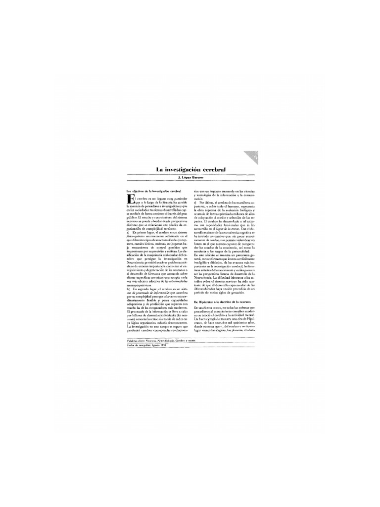 Cerebro Jimmy Neut Rin | PDF | Neurona | Sinapsis