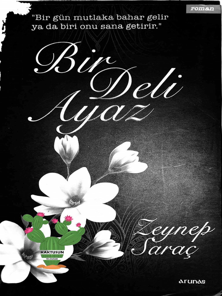 Bir Deli Ayaz | PDF