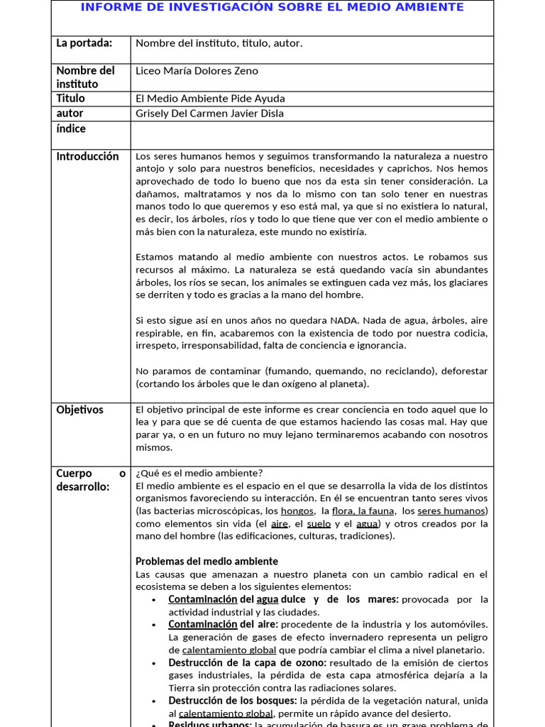Borron o Plantilla Del Informe de Investigacion Del Medio Ambiente ...