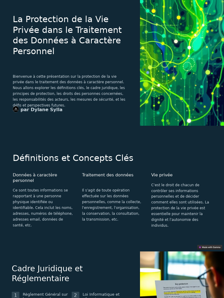 La-Protection-de-la-Vie-Privee-dans-le-Traitement-des-Donnees-a-Caractere-Personnel | PDF | Vie ...