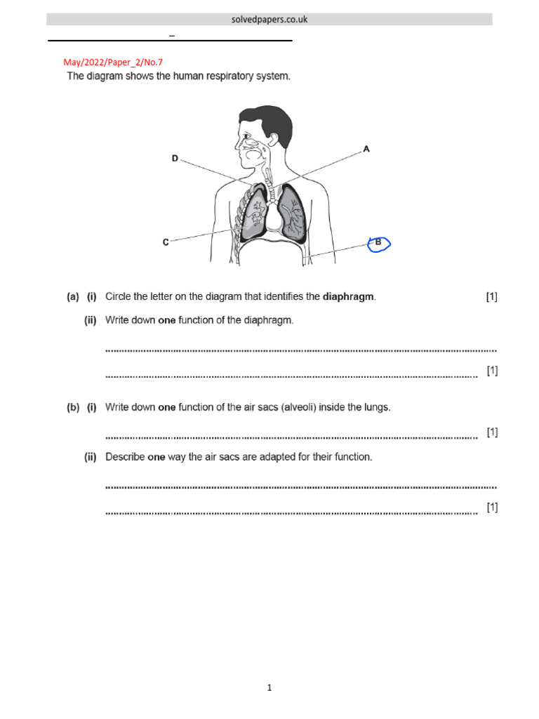 Biology Checkpoint: Respiration Insights | PDF