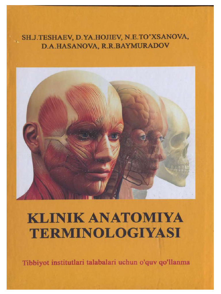 NamDU ARM 2684 Klinik Anatomiya Terminologiyasi | PDF