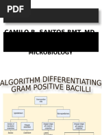 Encapsulated Vs Non Encapsulated Gram Positive Bacteria | PDF