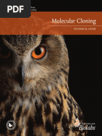 NEBcutter 2.0: Restriction Enzyme Tool | PDF