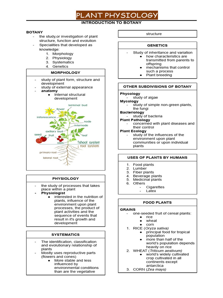 Plant Physio - Introduction | PDF | Legume | Plants