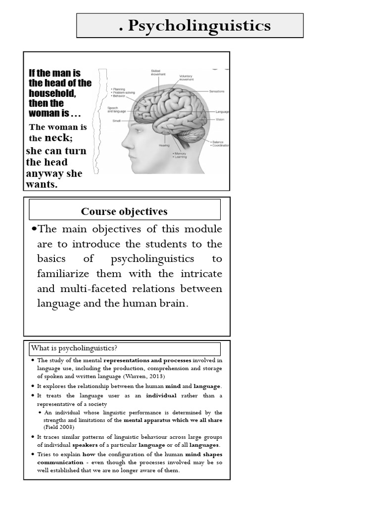 Psycholinguistics All Slide | PDF | Perception | Linguistics