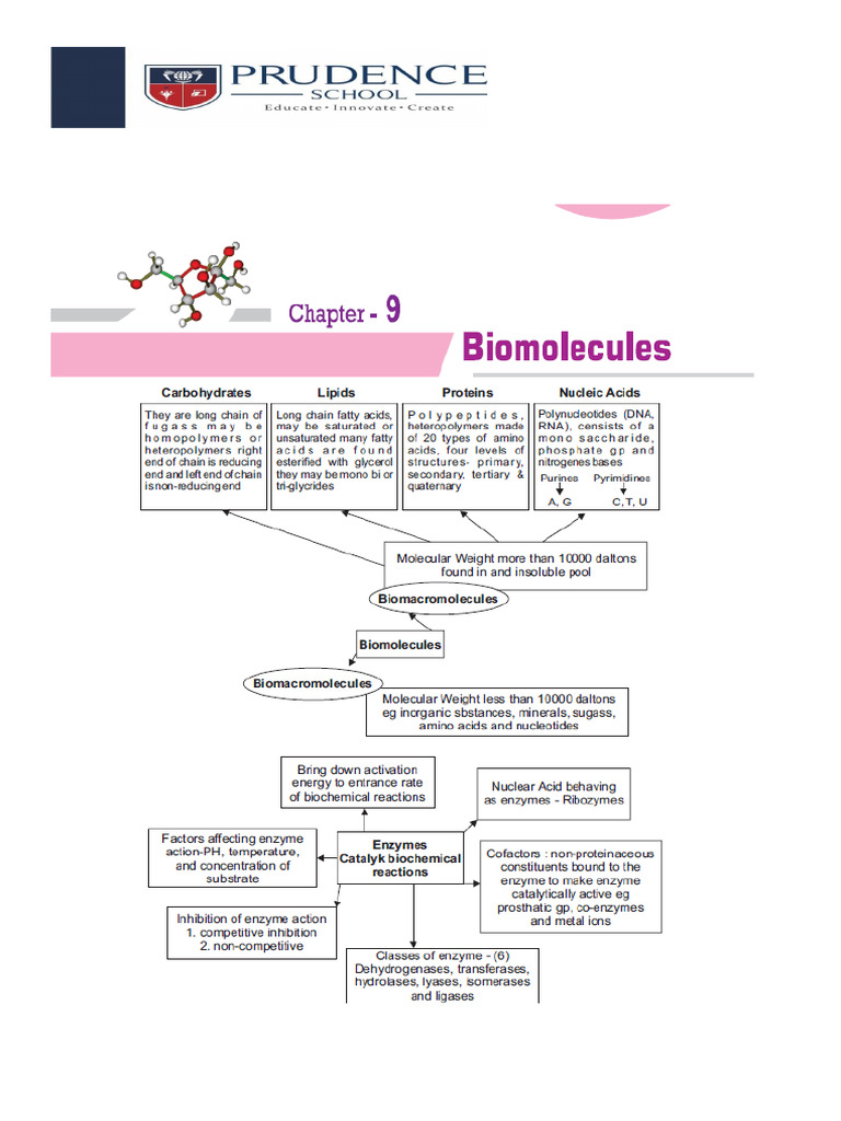 Notes, CH - Biomolecules | PDF