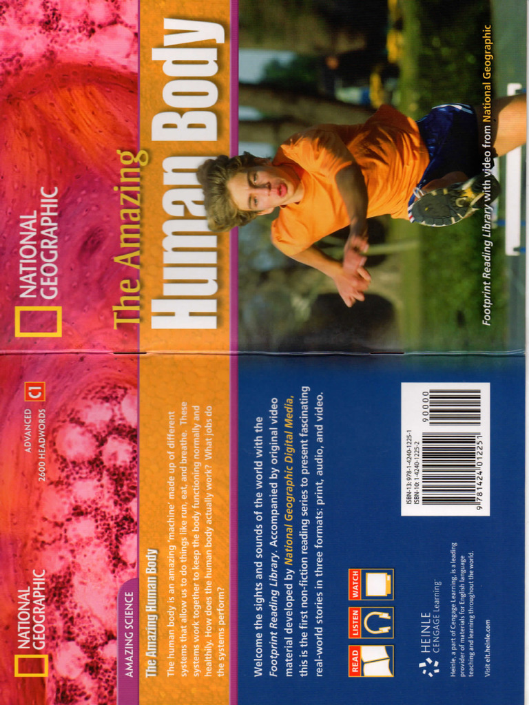 The Amazing Human Body | PDF