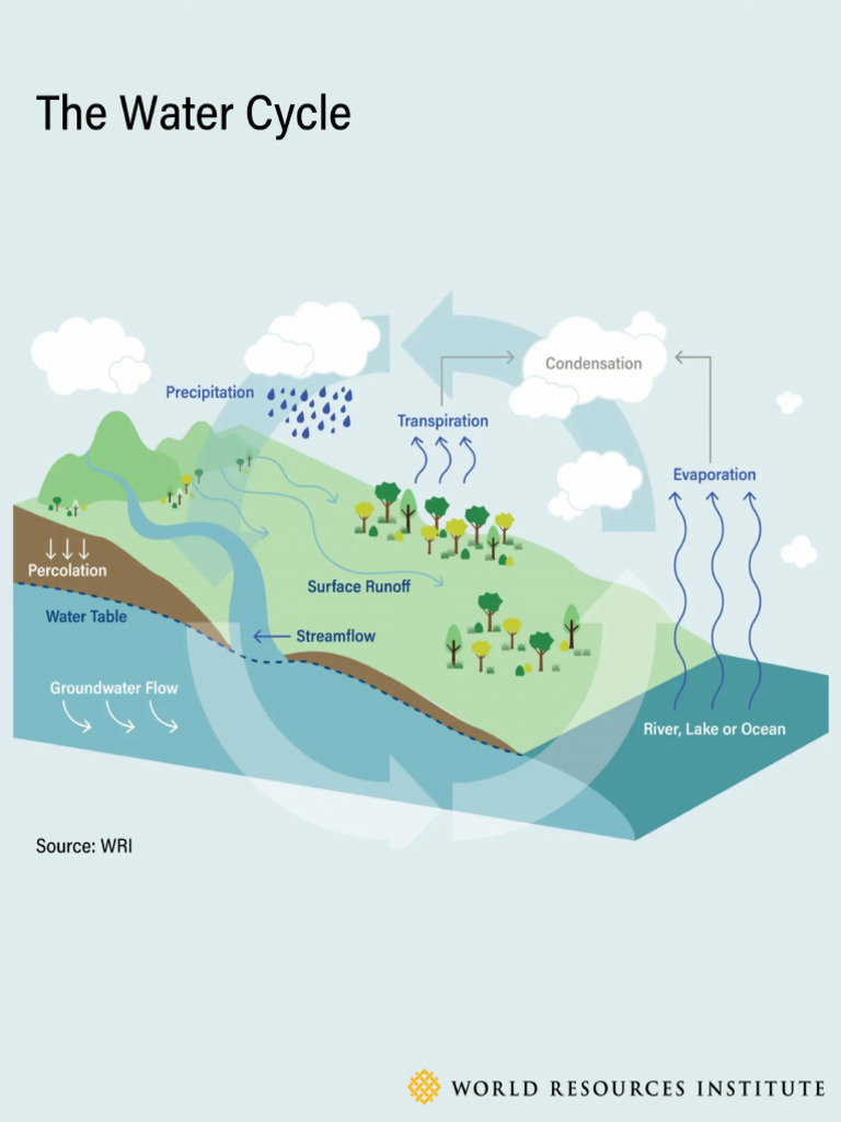 Water Cycle | PDF