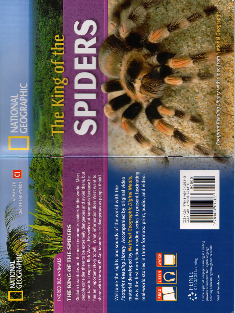 The King of The Spiders | PDF