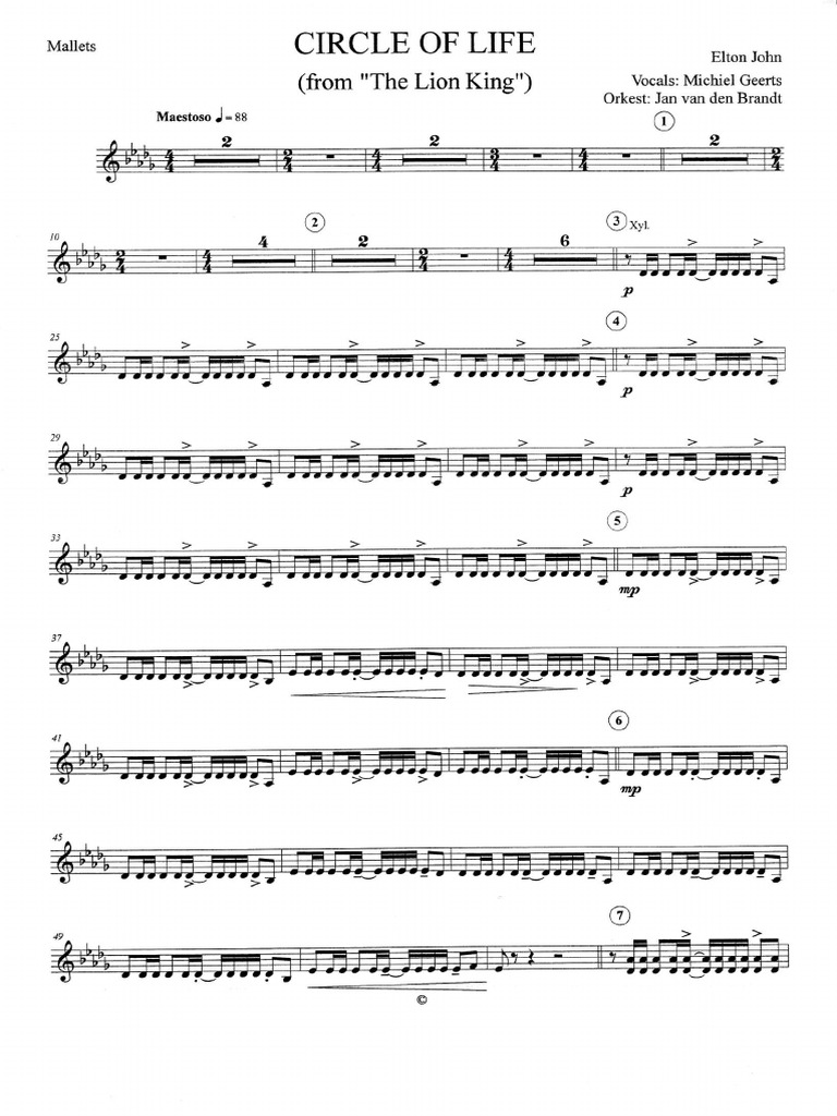 Circle of Life - Mallets | PDF