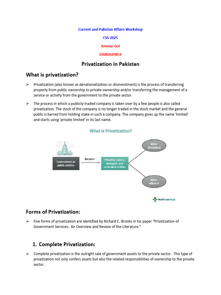 Understanding Privatization in Pakistan | PDF | Privatization | Economies