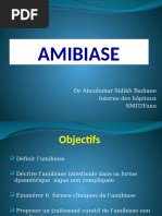 Amibiase Ou Amoebose | PDF | Maladies et troubles | Épidémiologie